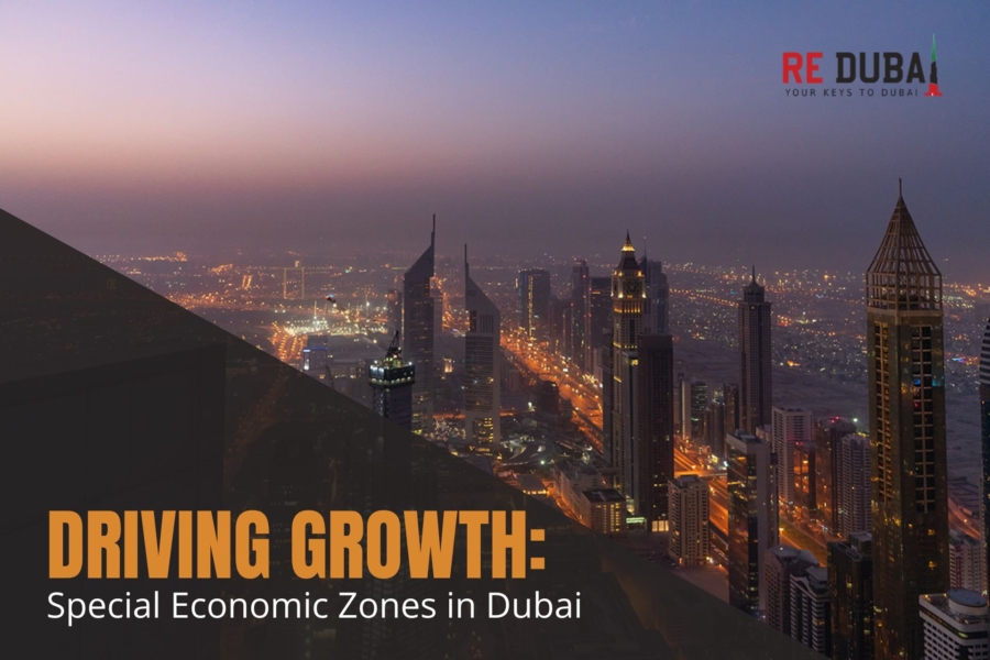 Driving Growth: Special Economic Zones in Dubai